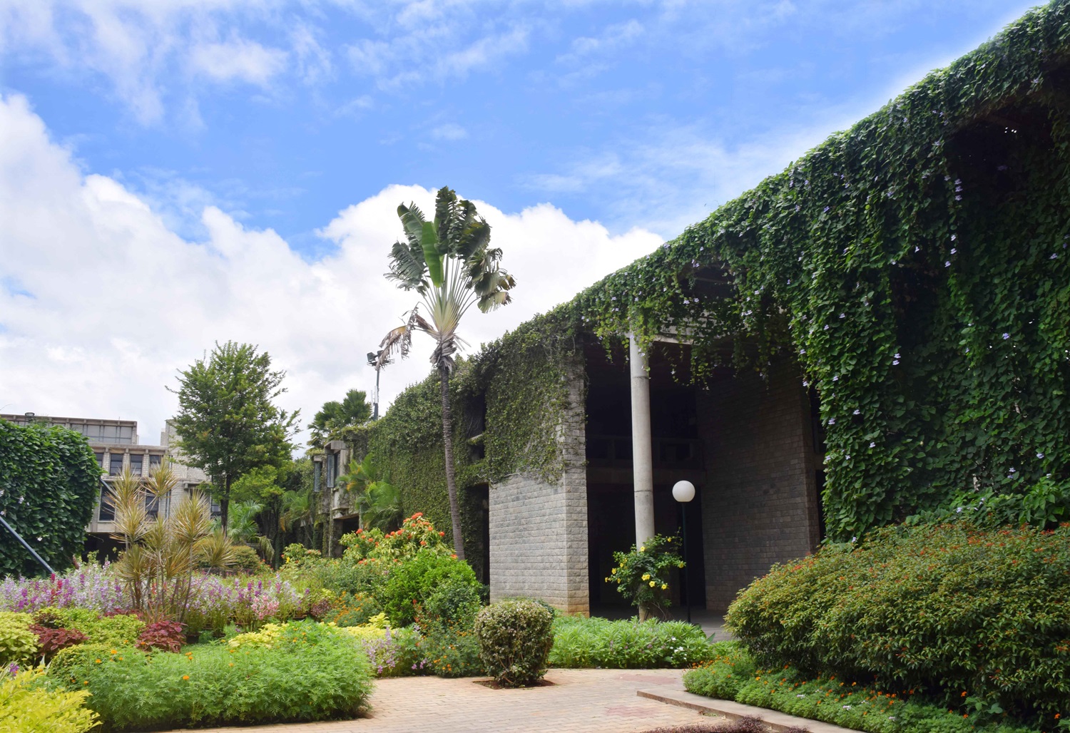 Executive Education IIM Bangalore